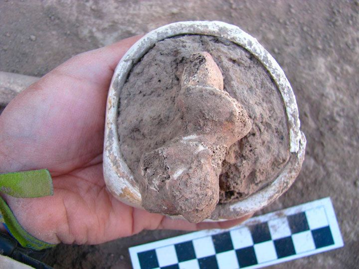 In Photos: 'Alien' Skulls Reveal Odd, Ancient Tradition | Live Science