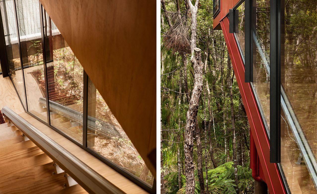 Colour pop: this bright red New Zealand house stands out in its leafy ...