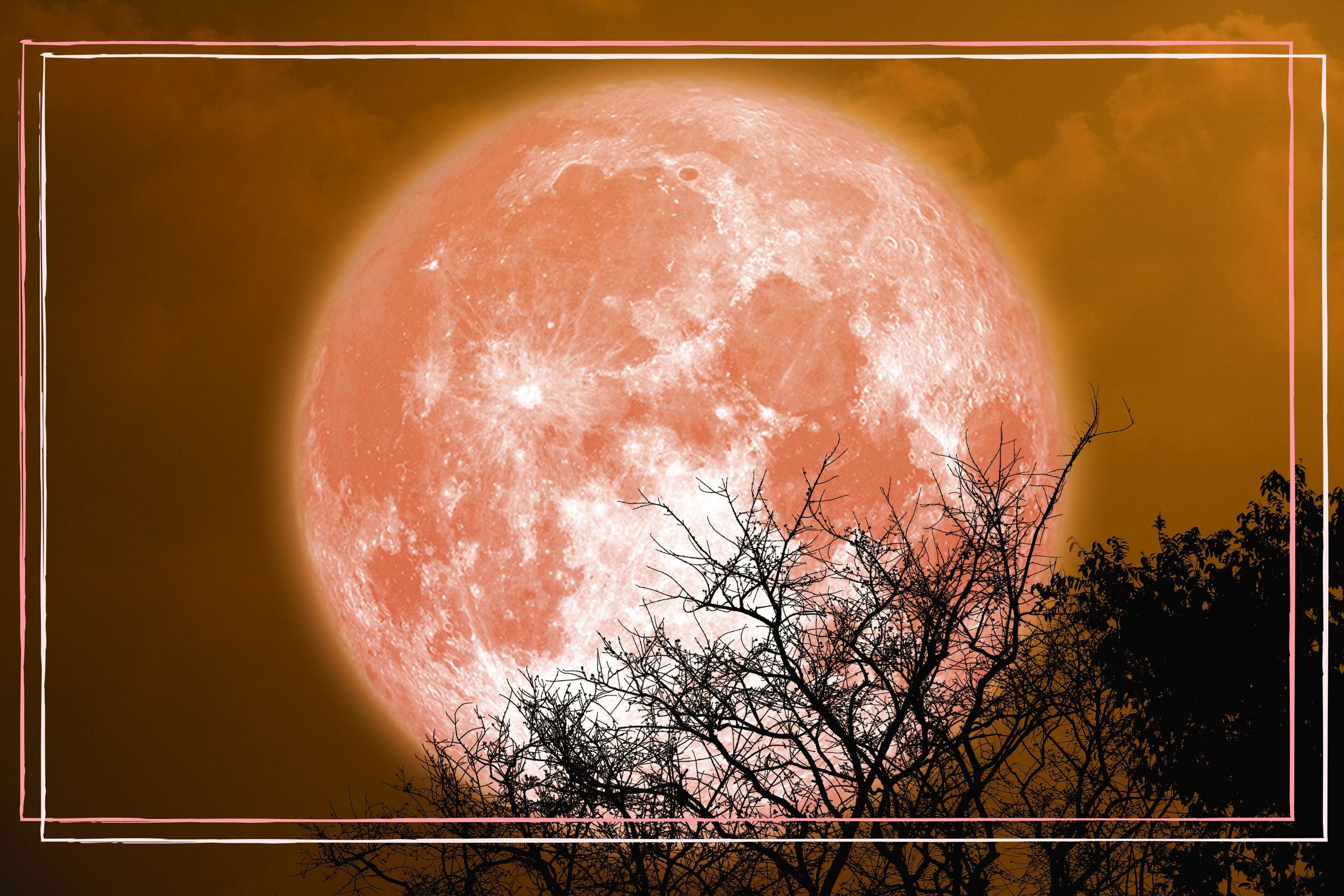 When is the next full moon? Introducing November’s Beaver Moon | GoodtoKnow