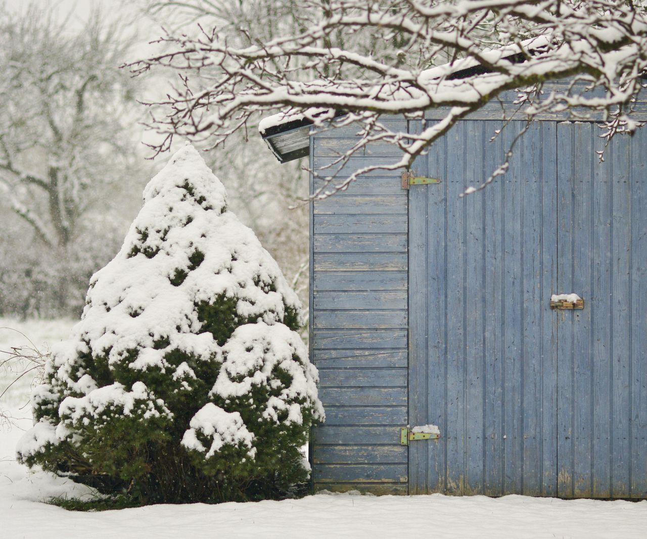 How to weatherproof a shed: 5 essential steps from experts | Homes and ...