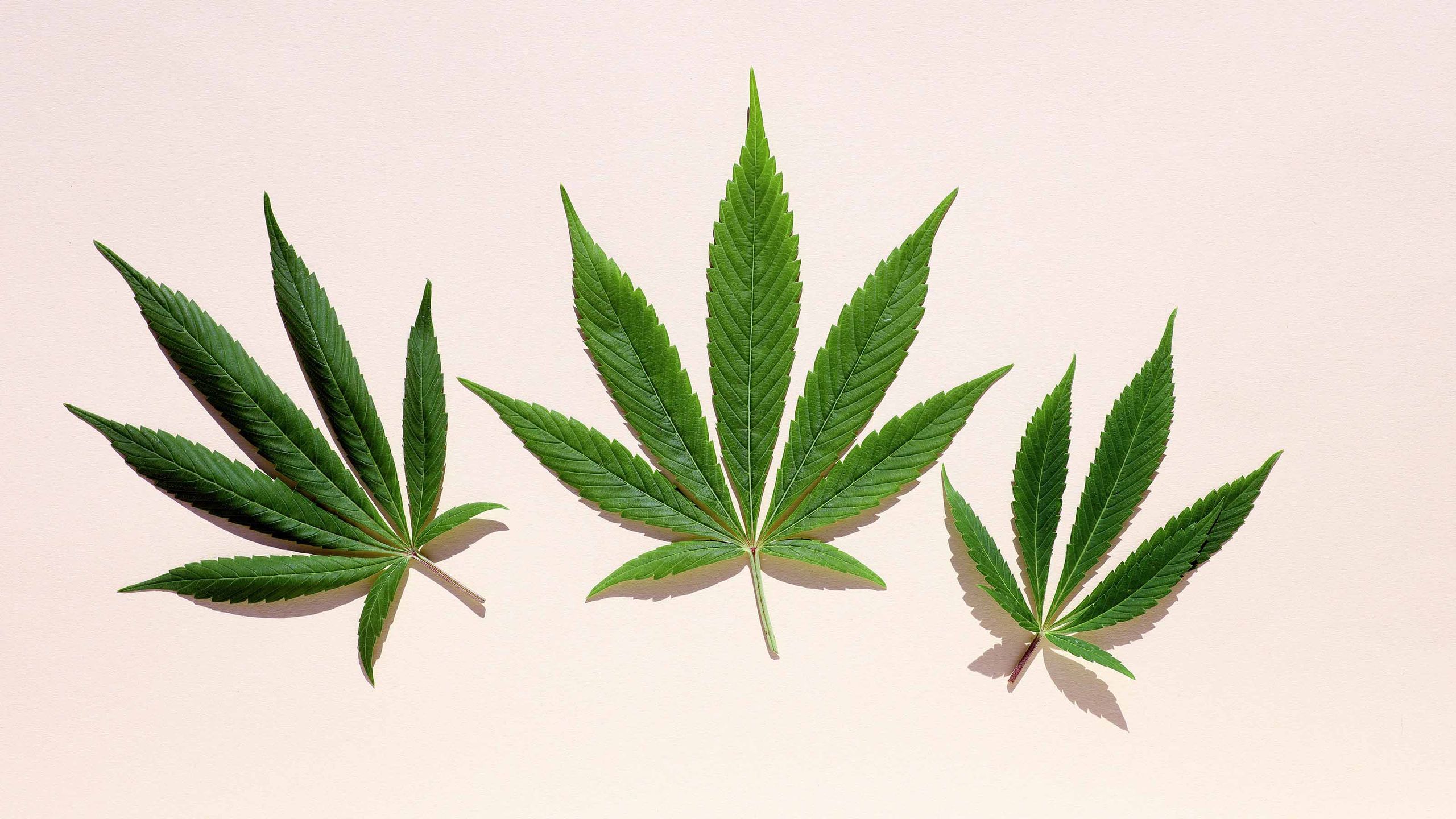 Germany's Weed Legalization Efforts Progress | Kiplinger