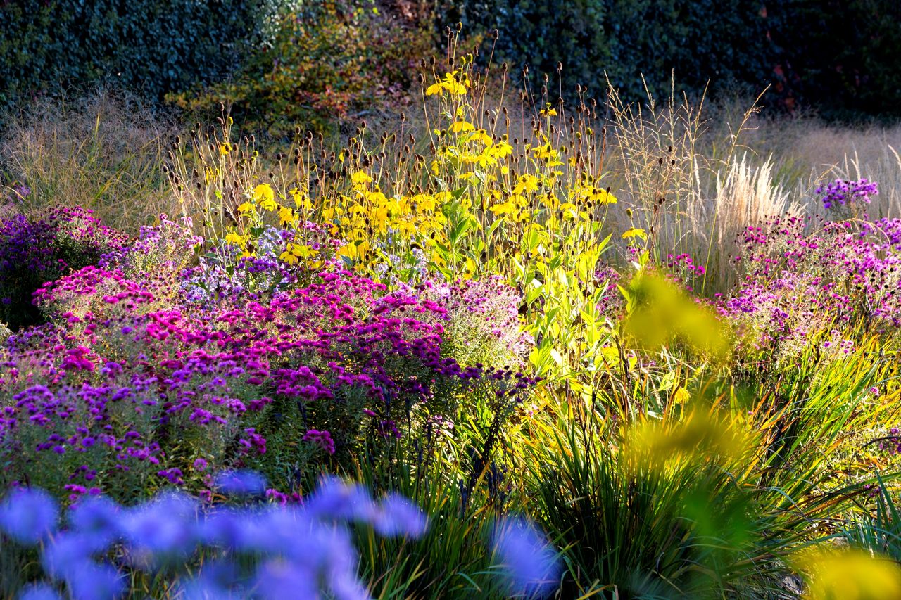 5 tricks to make your backyard look better under the moonlight | Livingetc