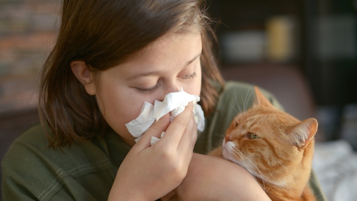 Allergic to cats? 12 symptoms and how to manage your allergy | PetsRadar