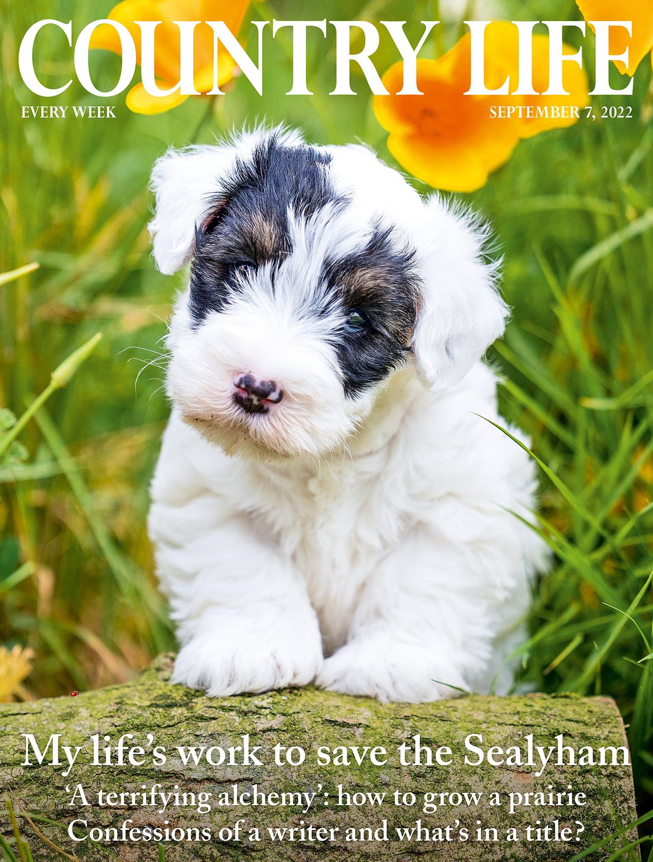 Country Life 7 September 2022 | Country Life