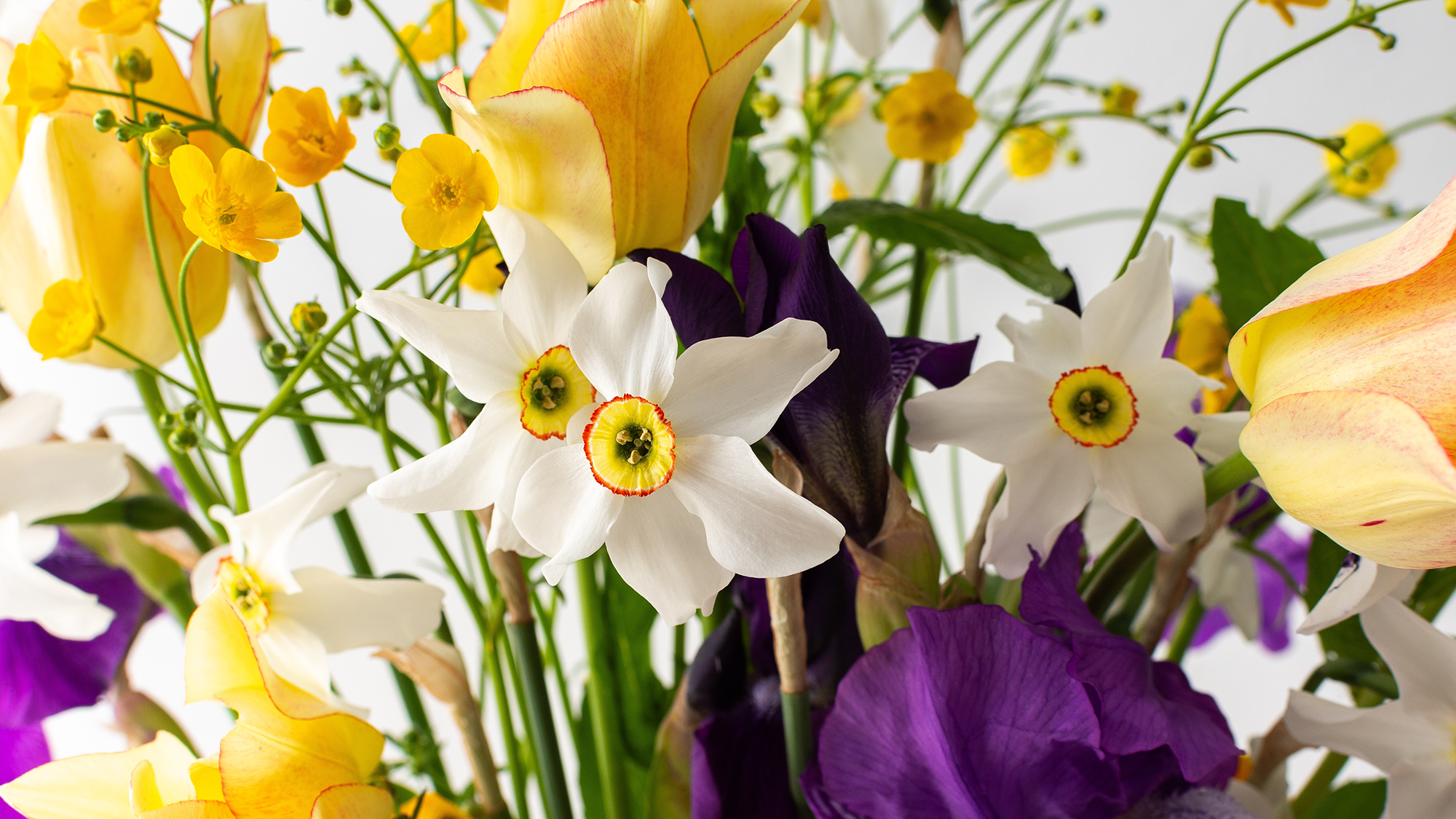 Expert florist hack makes your cut daffodils and other flowers last ...