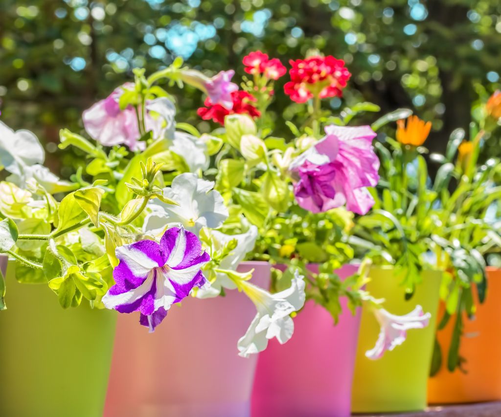 These 6 things will make a yard look cheap, say designers | Homes and ...