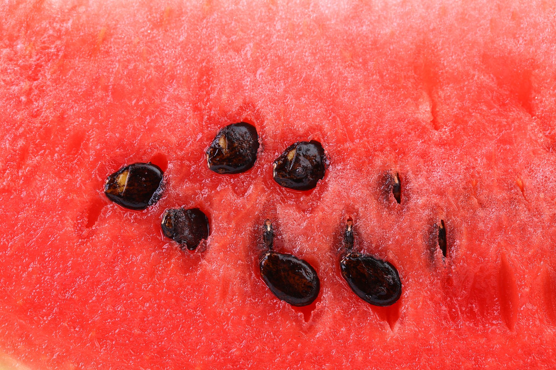 How to grow watermelon | Homes and Gardens