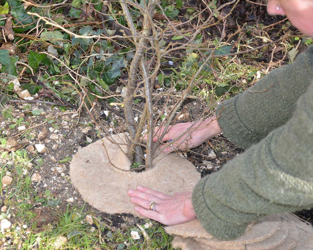 Mulching: a guide on when and how to mulch your garden | Gardeningetc