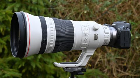 Canon RF 400mm f/2.8L IS USM review: if it ain’t broke, don’t fix it ...