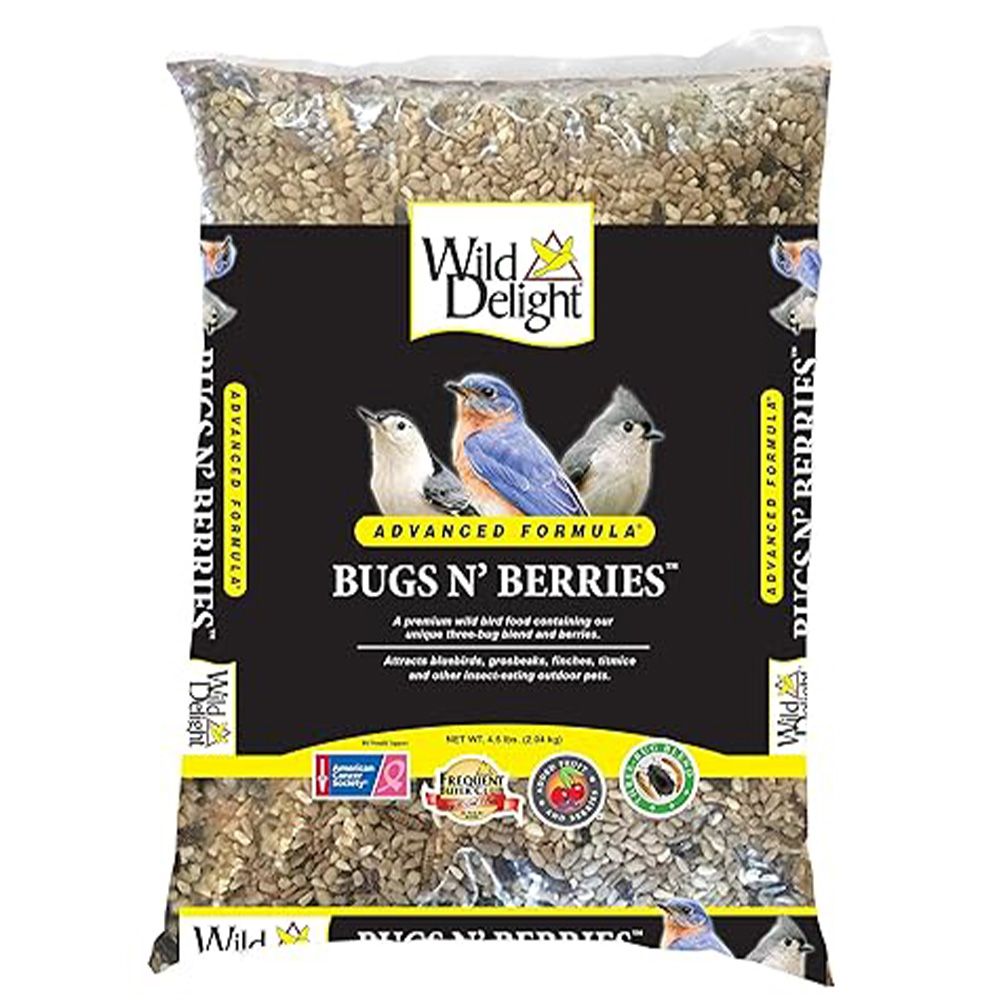 Best bird food 2026 to attract and feed hungry birds | PetsRadar