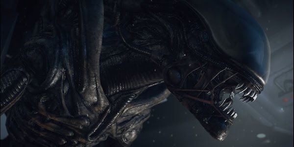 From A To Xenomorph: The 14 Different Creatures In The Alien Franchise ...