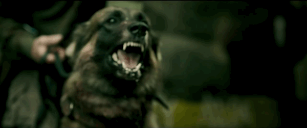 The Purge: Anarchy Trailer Warns There Are No Heroes On Purge Night ...