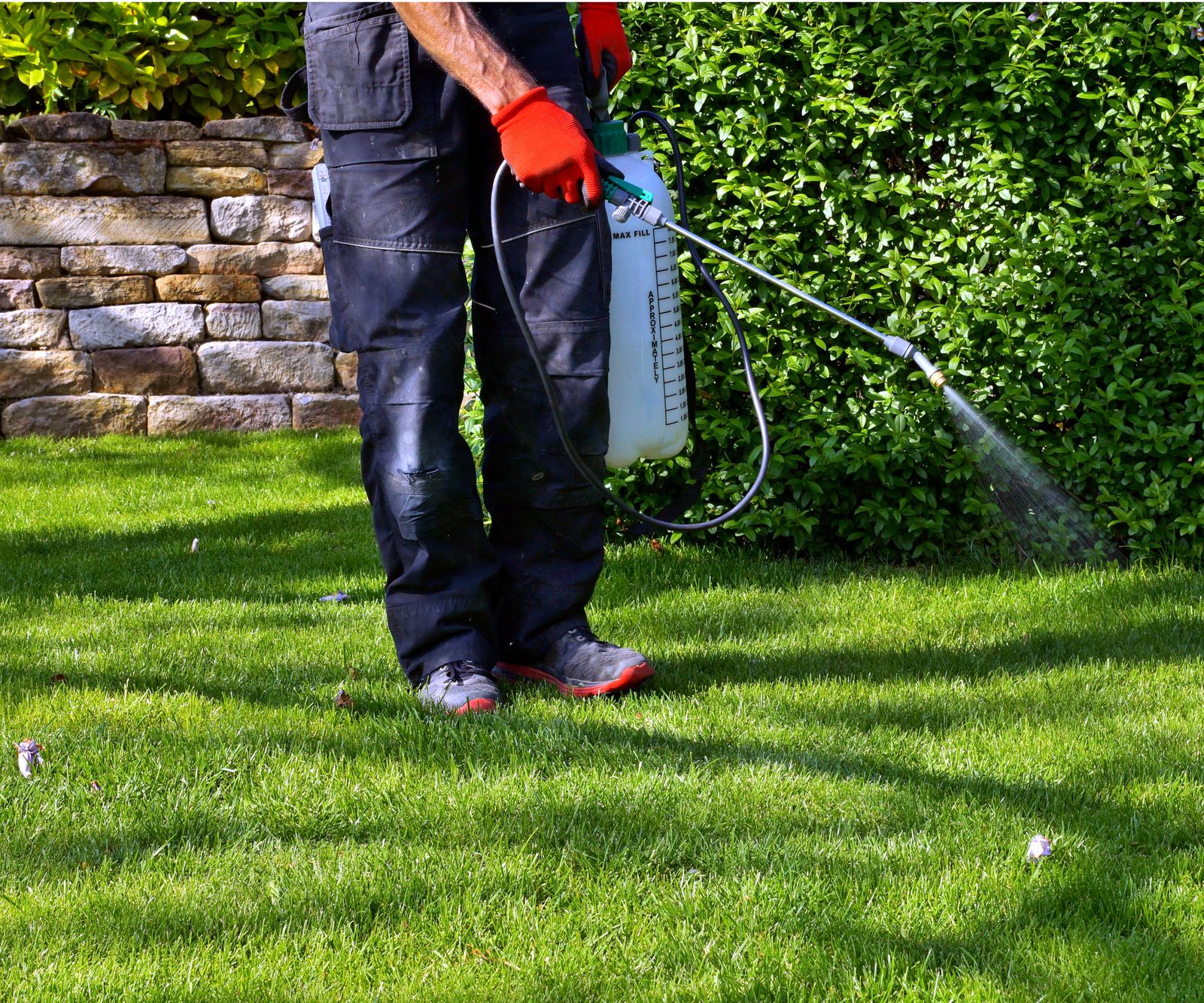 Fall lawn care: 10 expert tips for grass maintenance | Homes and Gardens