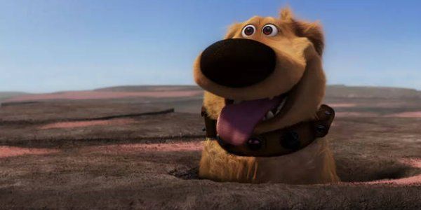 Dug From Pixar’s Up Comes To Life In This Adorable New Video | Cinemablend