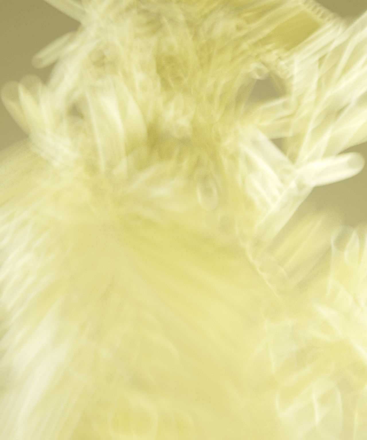 WGSN and Coloro unveil 5 colors inspired by global trends | Homes and ...