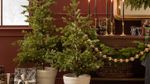 5 ways to make a Christmas tree look taller | Homes and Gardens