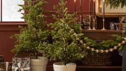Real mini Christmas tree varieties: 5 tiny alternatives | Homes and Gardens