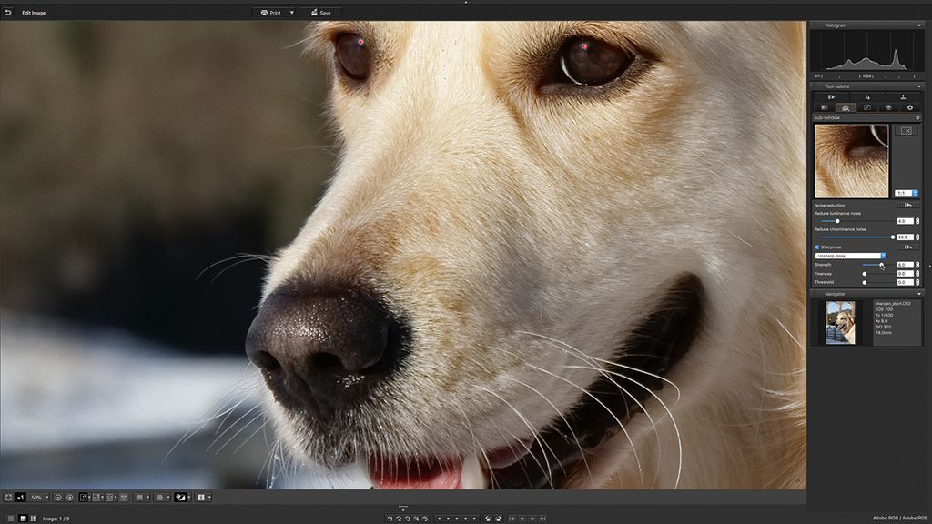 How to use Canon Digital Photo Professional – Canon DPP part 10 ...