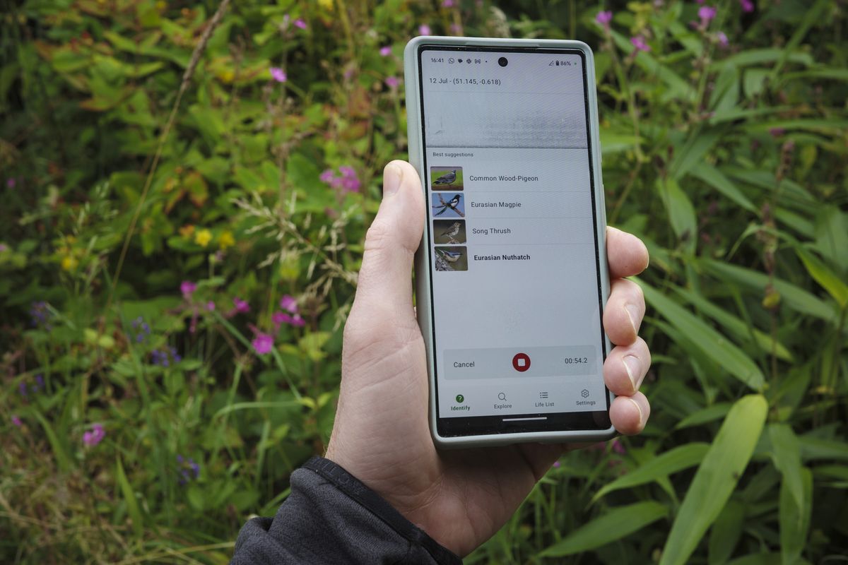 The free Merlin app can record and identify thousands of bird calls ...