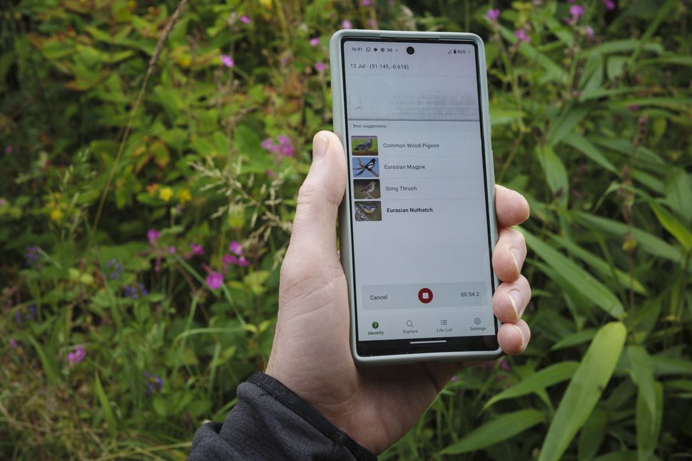 The free Merlin app can record and identify thousands of bird calls ...