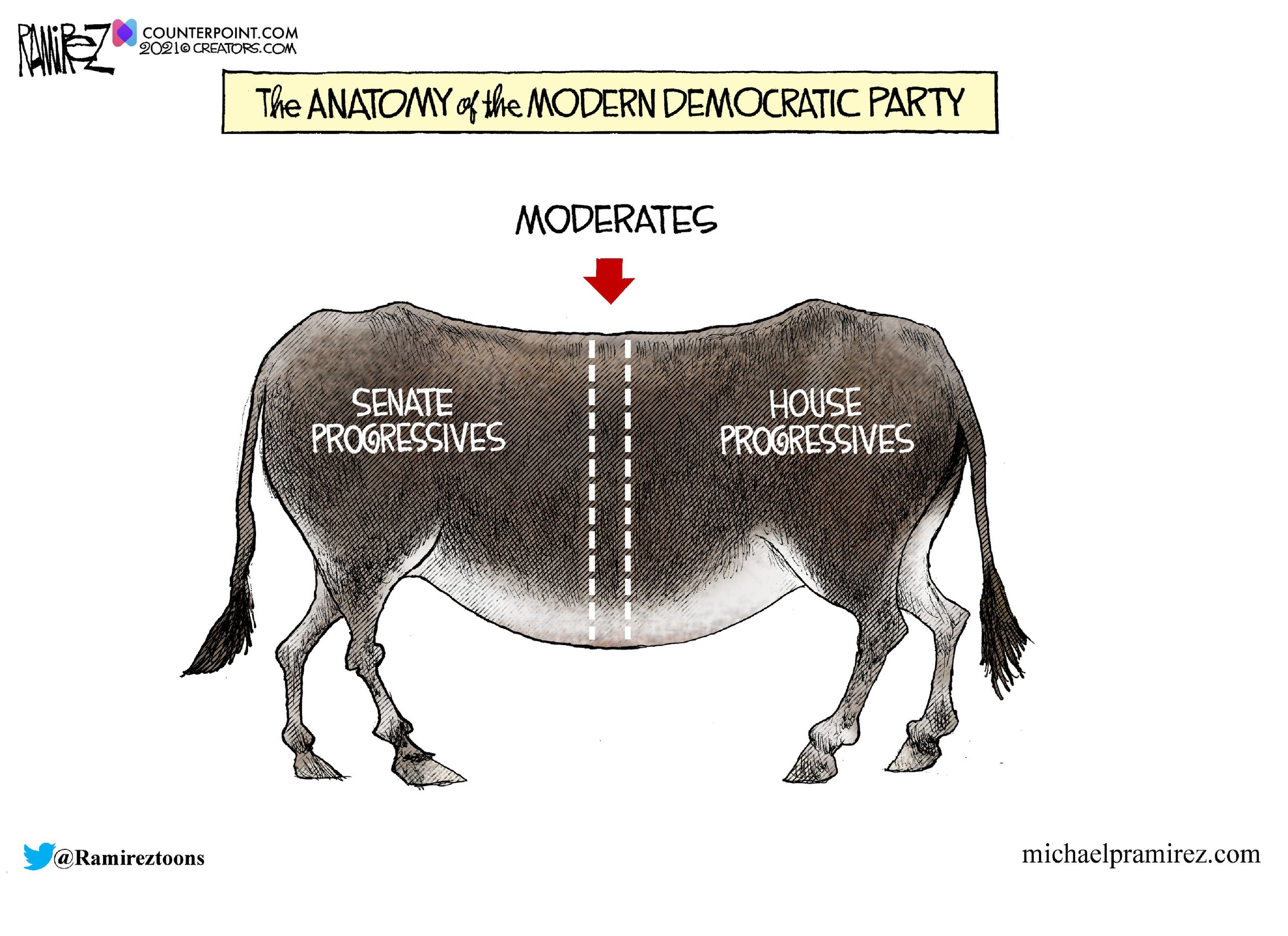 Today's Democrats | The Week