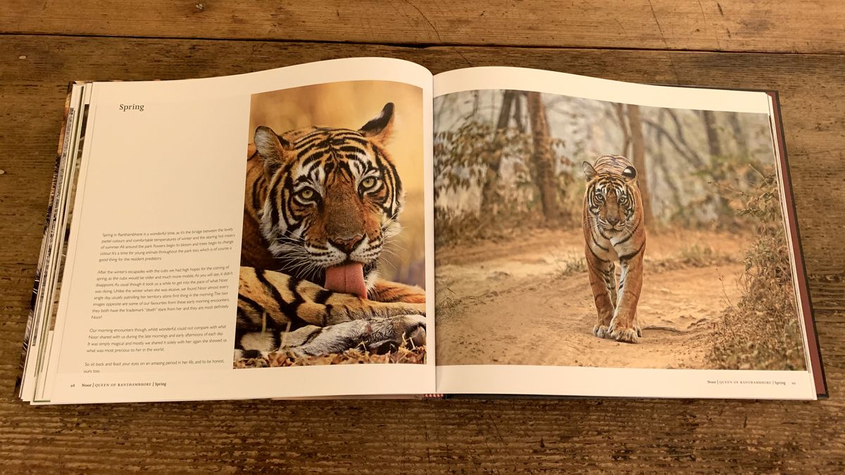 Andy Rouse photography book will delight tiger lovers | Digital Camera ...