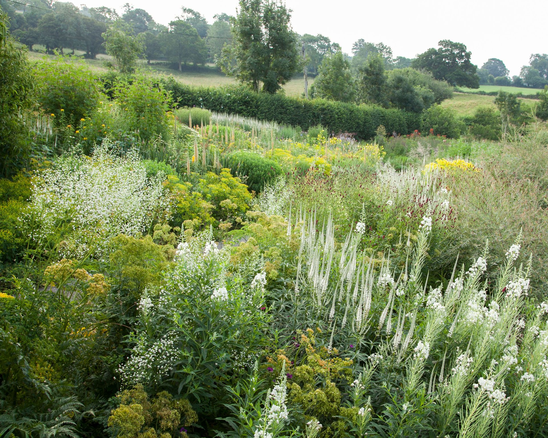 Garden color schemes: how to use color in the garden | Homes and Gardens