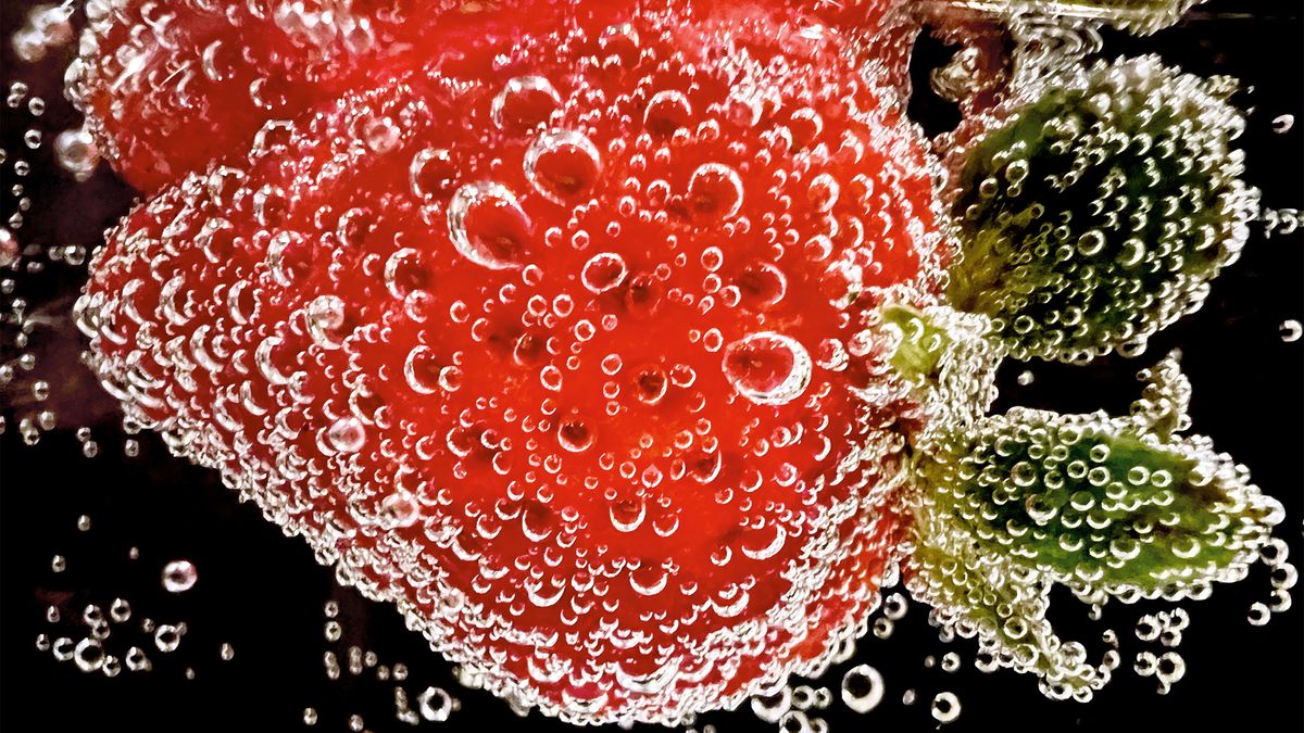 Stunning iPhone Macro Challenge winners show magic of close-up ...
