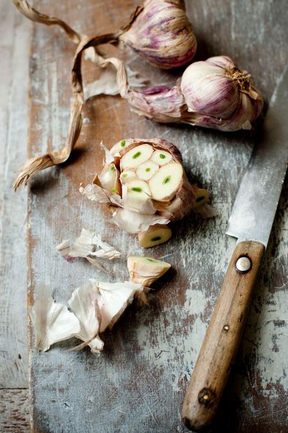 Modern vegetable garden ideas | Livingetc