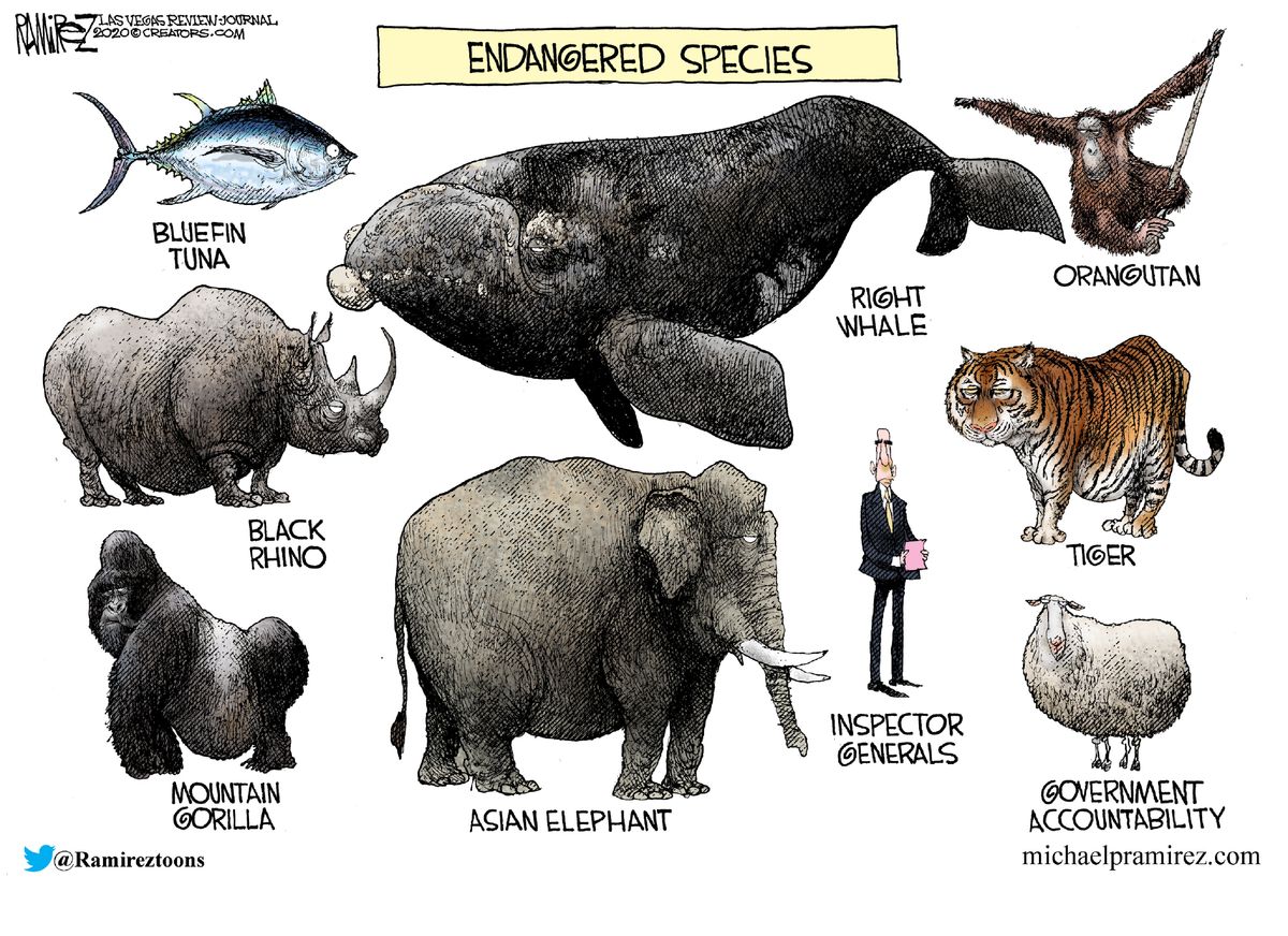 Political Cartoon U.S. inspector general firings trump endangered ...