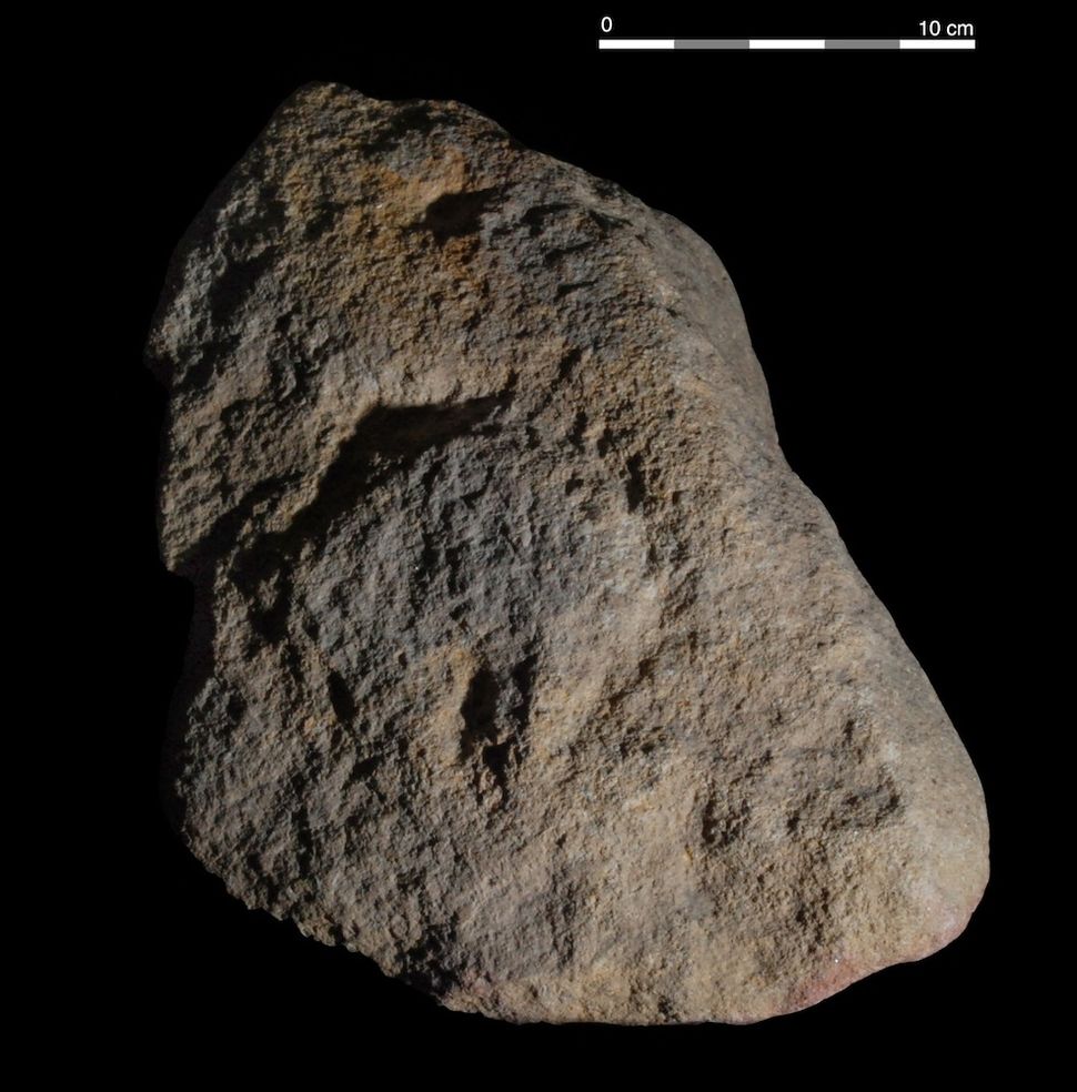 Gallery: Europe's Oldest Rock Art | Aurignacian Carvings | Live Science