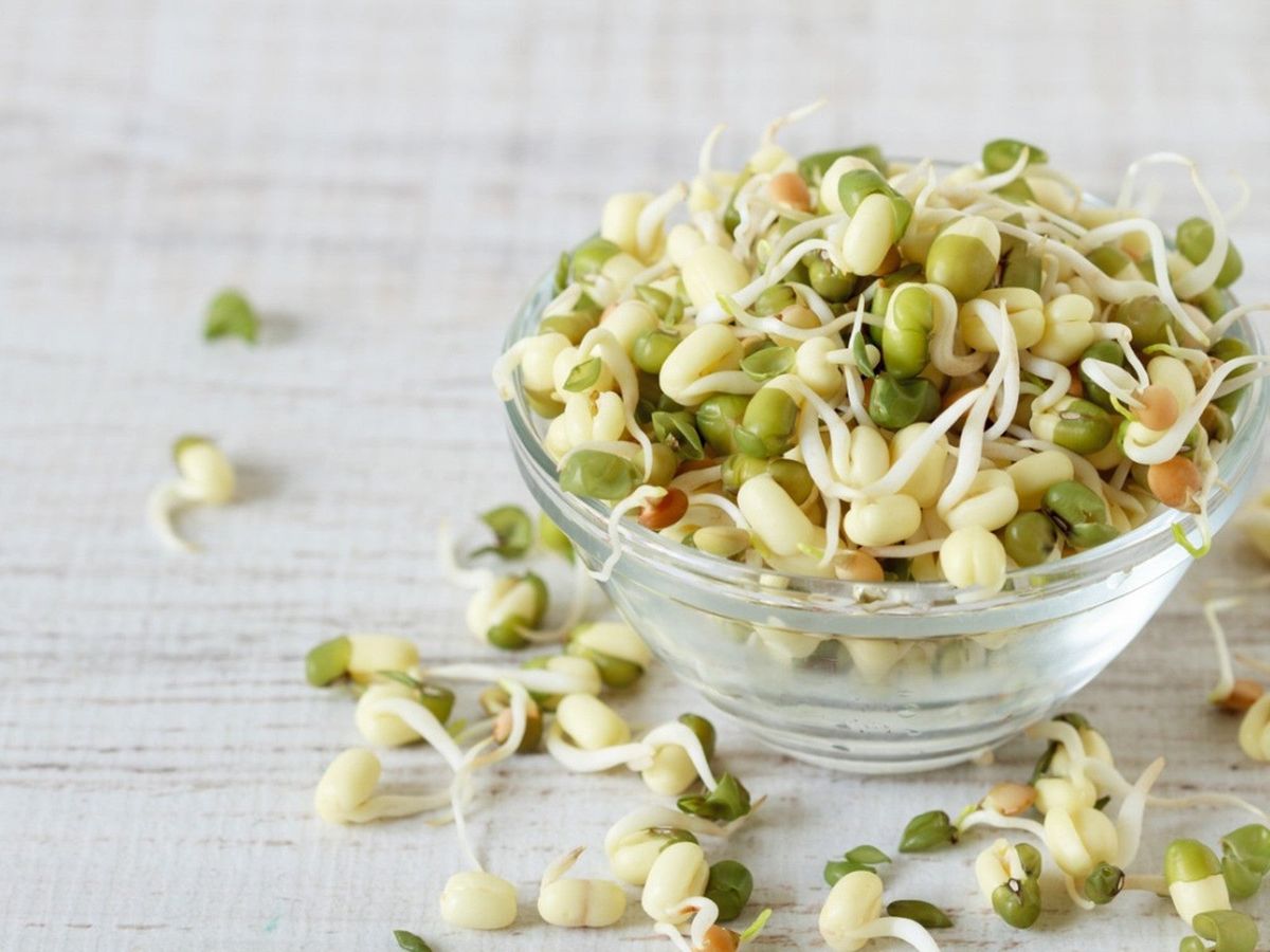 Best Seeds For Sprouts: Seeds For Sprouts To Eat | Gardening Know How