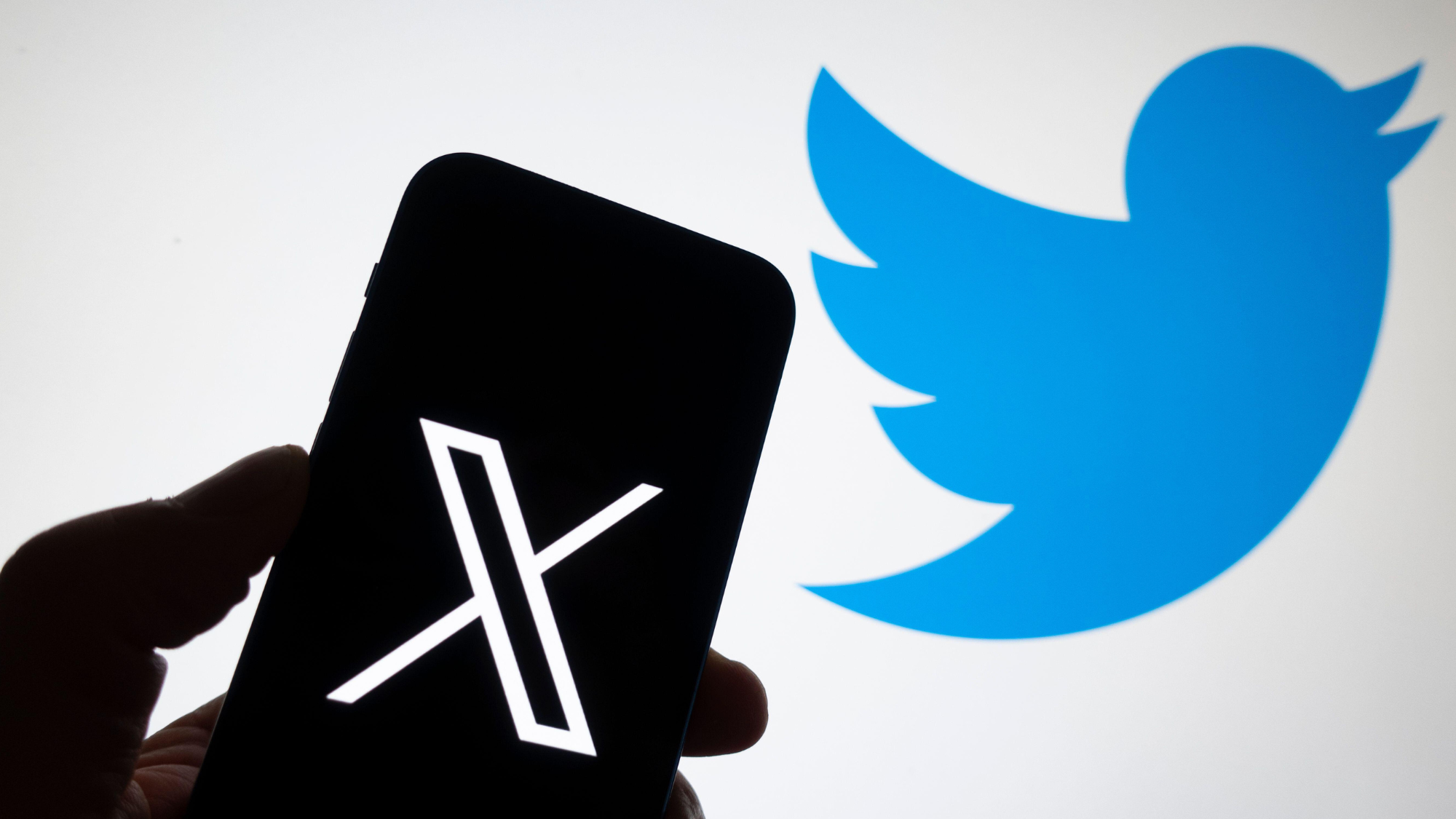 Twitter: Breaking the Bird – a 'riveting' documentary | The Week