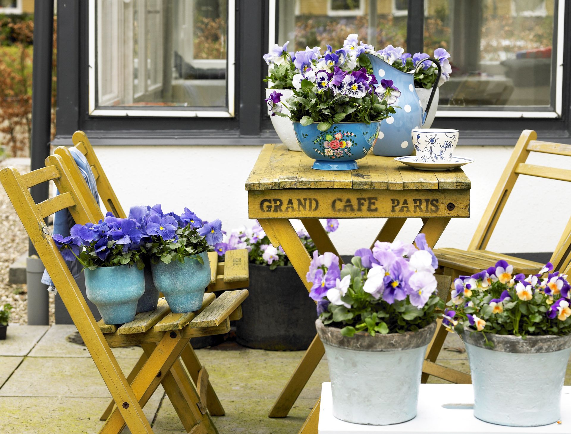 Best winter plants for pots: 17 bright ideas | Gardeningetc