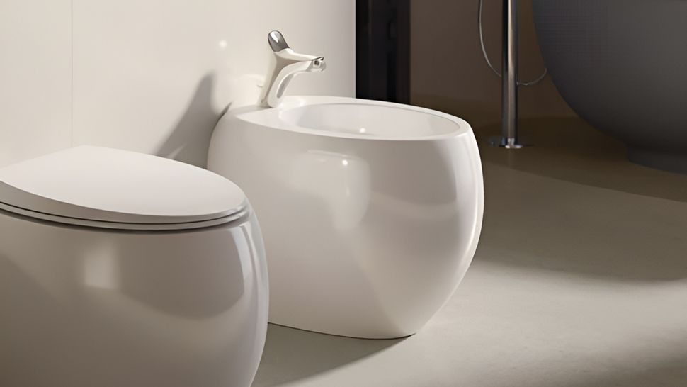 What is a bidet and does your bathroom need one? | Homebuilding