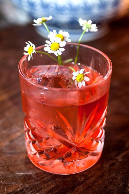 Pretty Cocktails and Drinks You Can Make at Home - Summer Cocktails ...