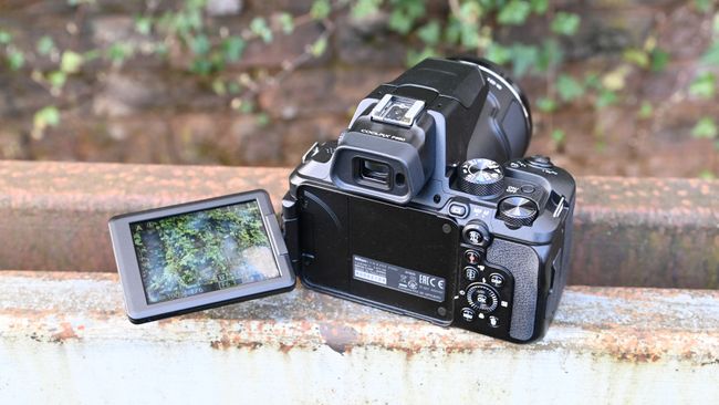 Nikon P950 review | TechRadar