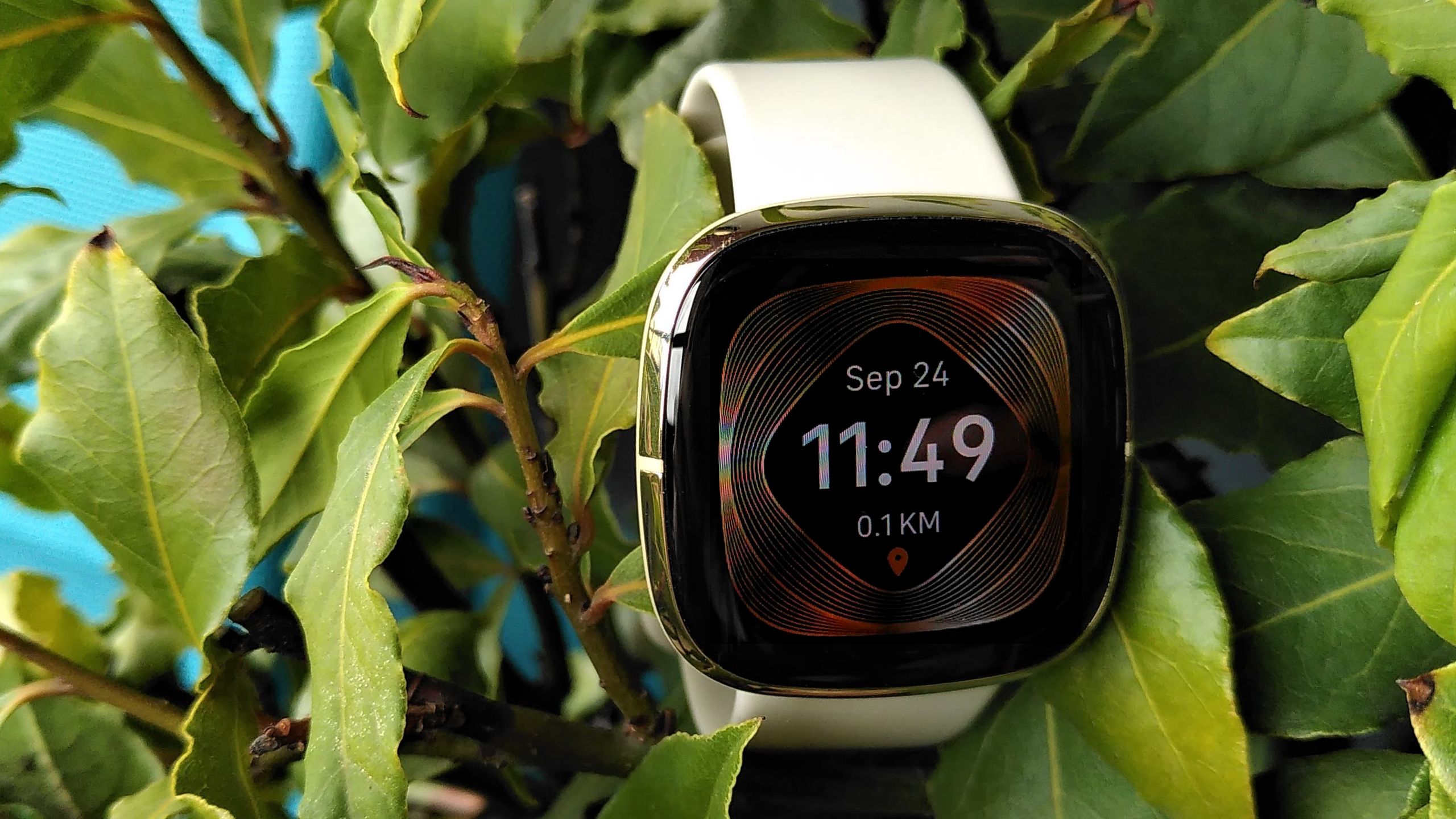 Fitbit's new Walkmate feature is designed to help you increase your ...