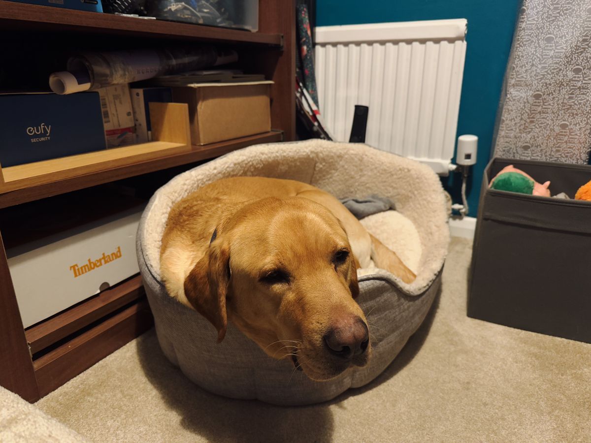 I tried this 'zero-AI' app on the iPhone 15 Pro Max and Pixel 9 Pro to ...