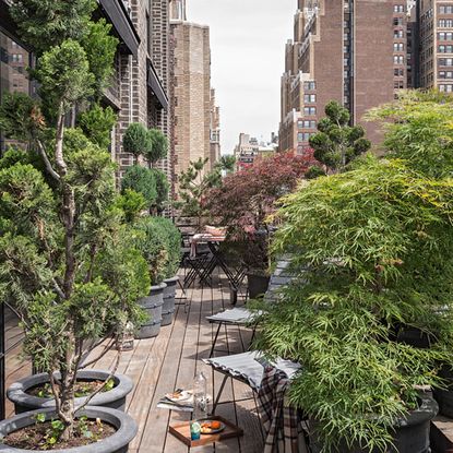 10 open homes: fabulous spaces that blur the distinction between inside ...