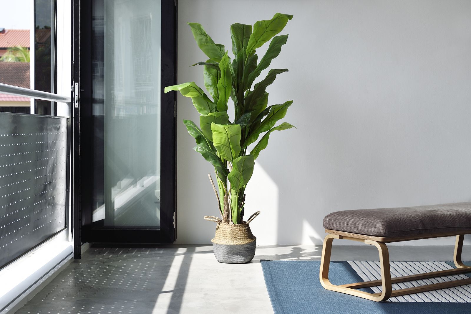 How to Revive a Dying Palm Plant — Experts Offer 4 Tips | Livingetc