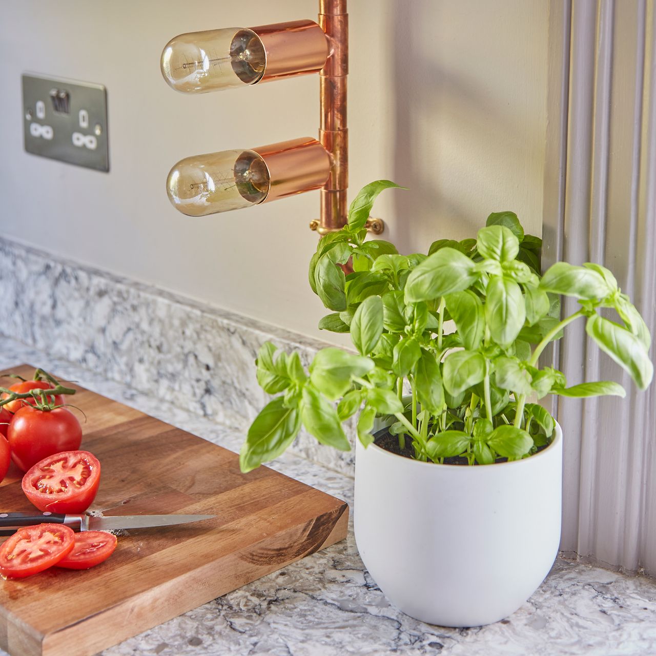 How to grow basil from shop bought: saving money and effort | Ideal Home