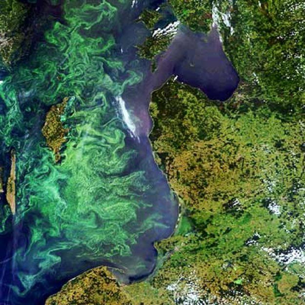 The Color of the Ocean: New South American Satellite Joins Earth ...
