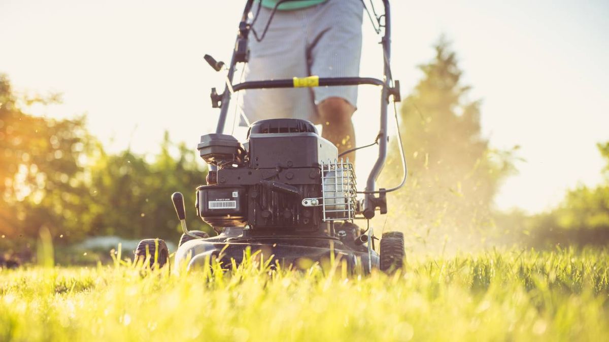 5 ways to get your garden ready for spring | T3