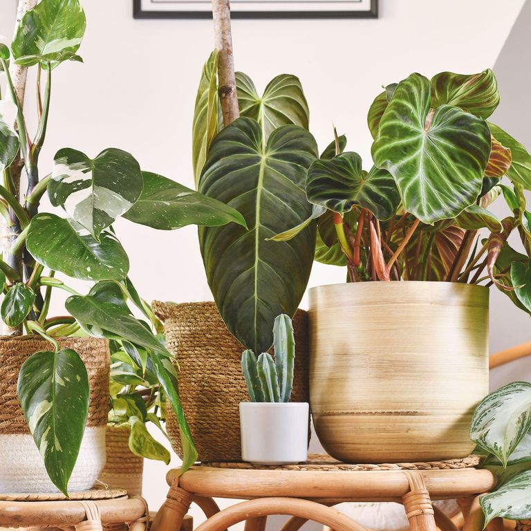 9 Scandi garden design ideas that you will want to steal | Ideal Home