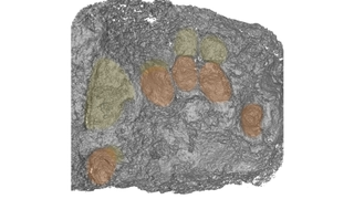 'They had not been seen ever before': Romans made liquid gypsum paste ...