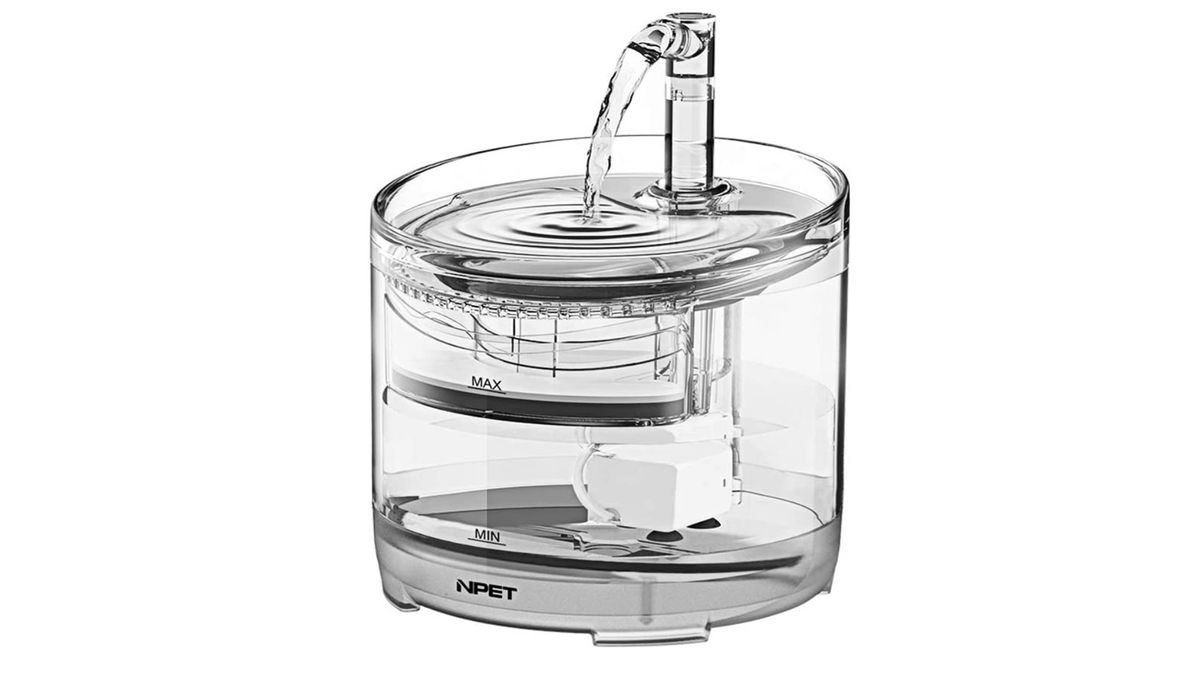 Best pet water fountains 2024 for optimal hydration | PetsRadar