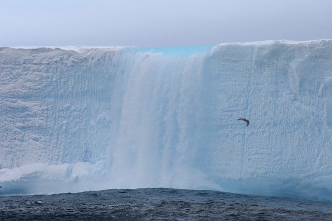 In Photos: Huge Icebergs Break Off Antarctica | Live Science