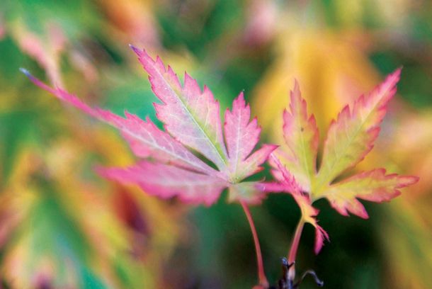 Depth of field explained | TechRadar