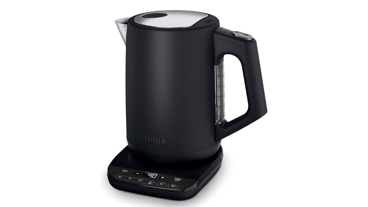 Best kettle: multi-temperature kettles and standard models | T3